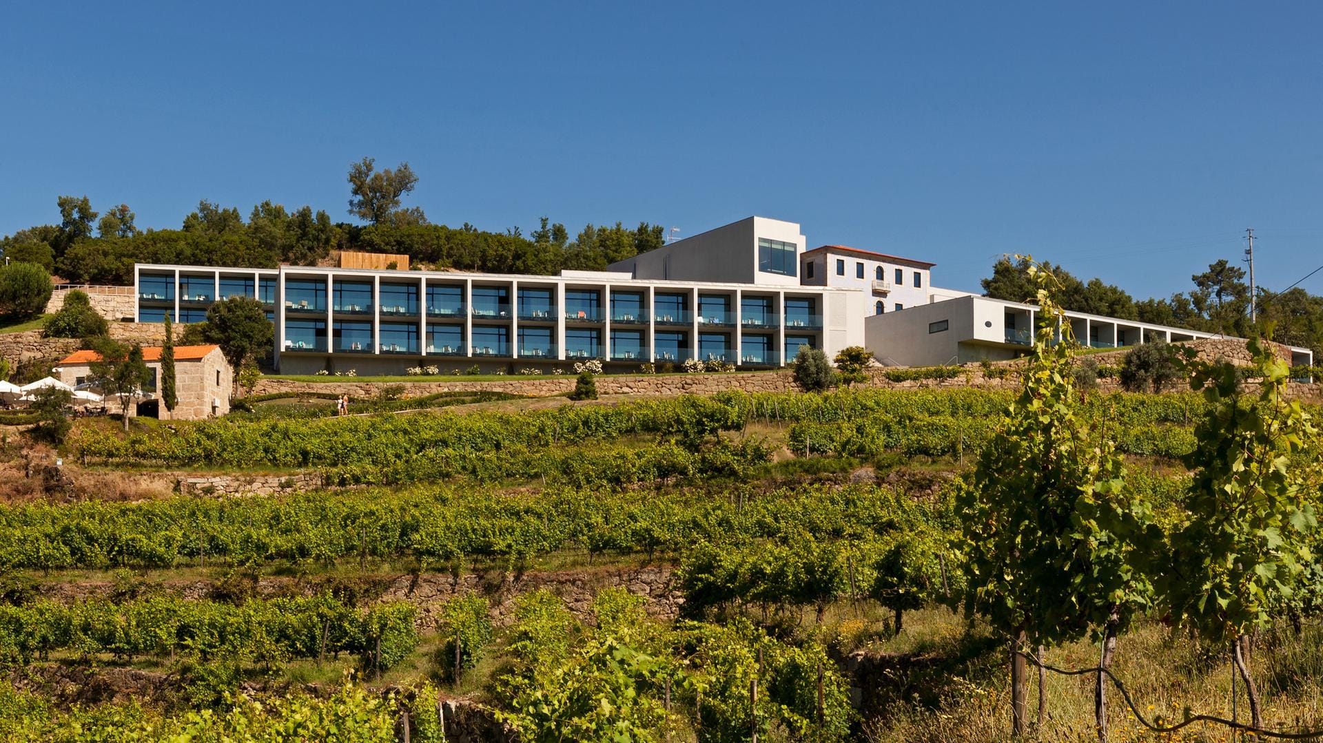 Douro Palace Hotel Resort & Spa | CARTER.EU