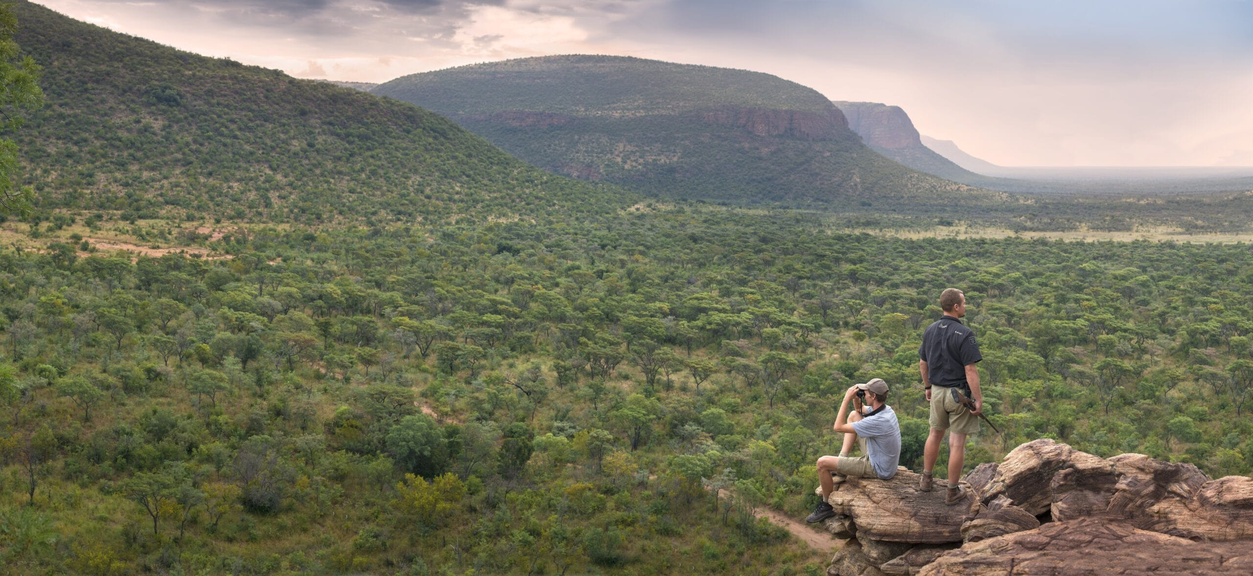 Marataba Game Reserve | CARTER.EU